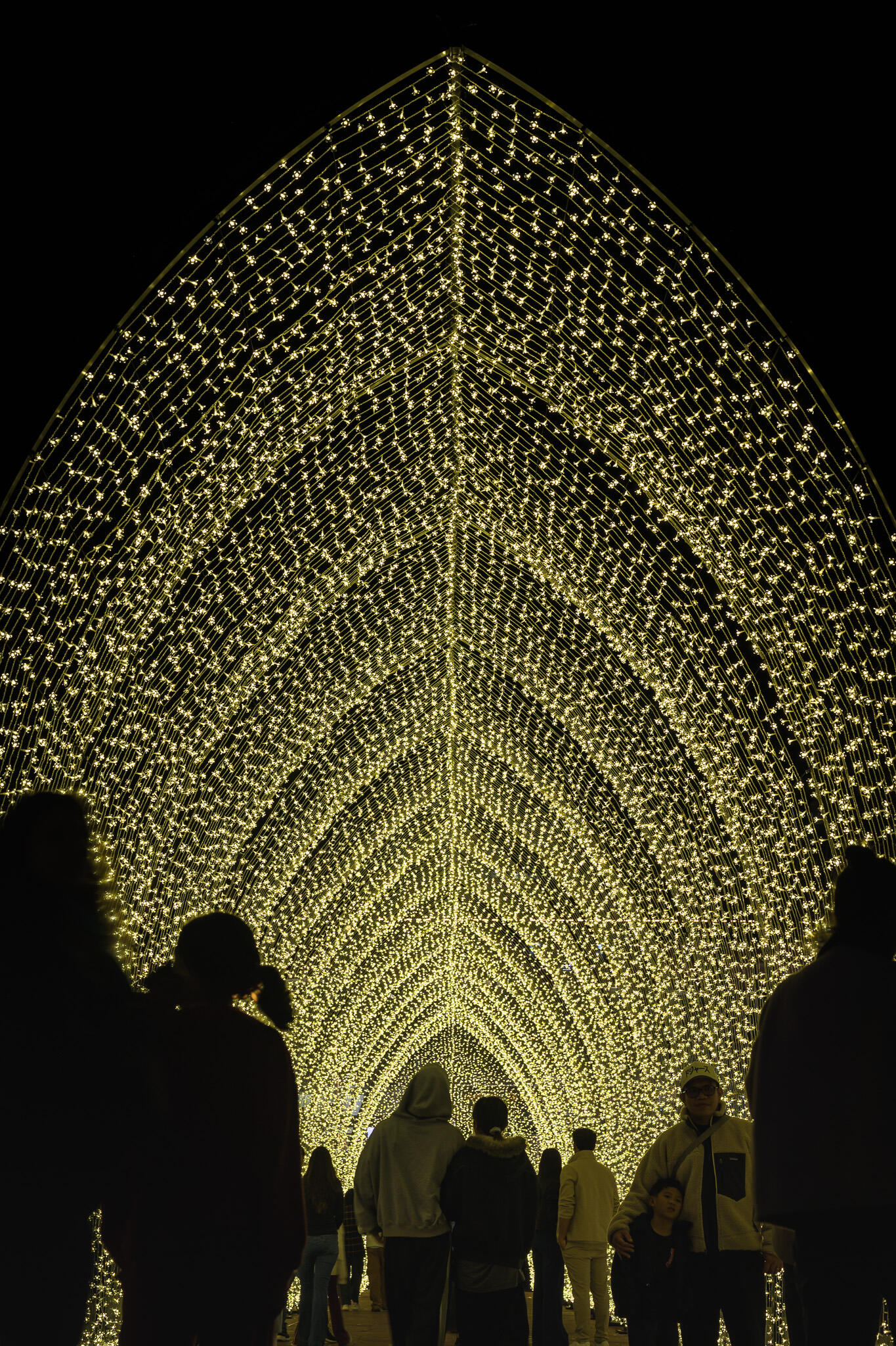 Winter Light Cathedral | 30 May - 5 Jul 2026 | Auckland Live