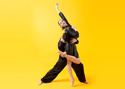 Subtle Dances | Auckland Live