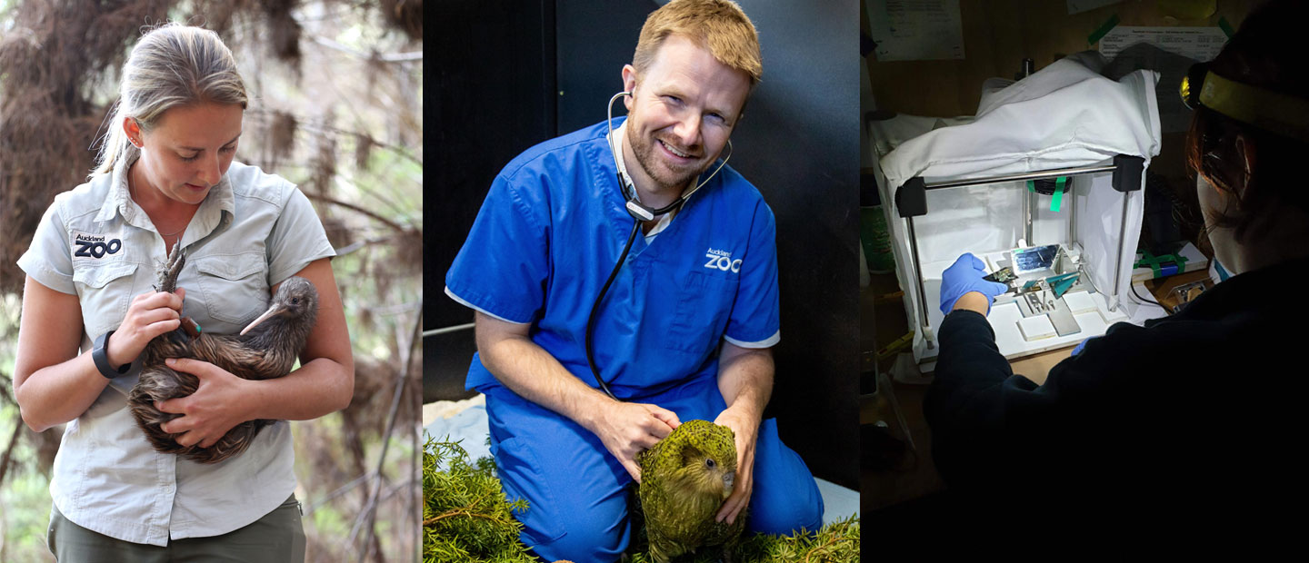 Back from the Brink – 11 Inspirational Stories where Conservation is ...