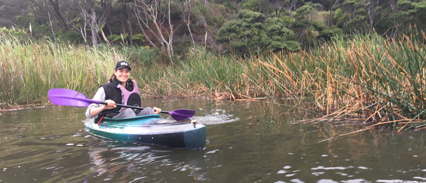 Surveying for the elusive pūweto at Matuku Link | Auckland Zoo News