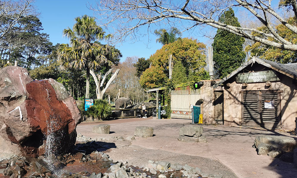 Plan Your Day | Visitor Information | Auckland Zoo